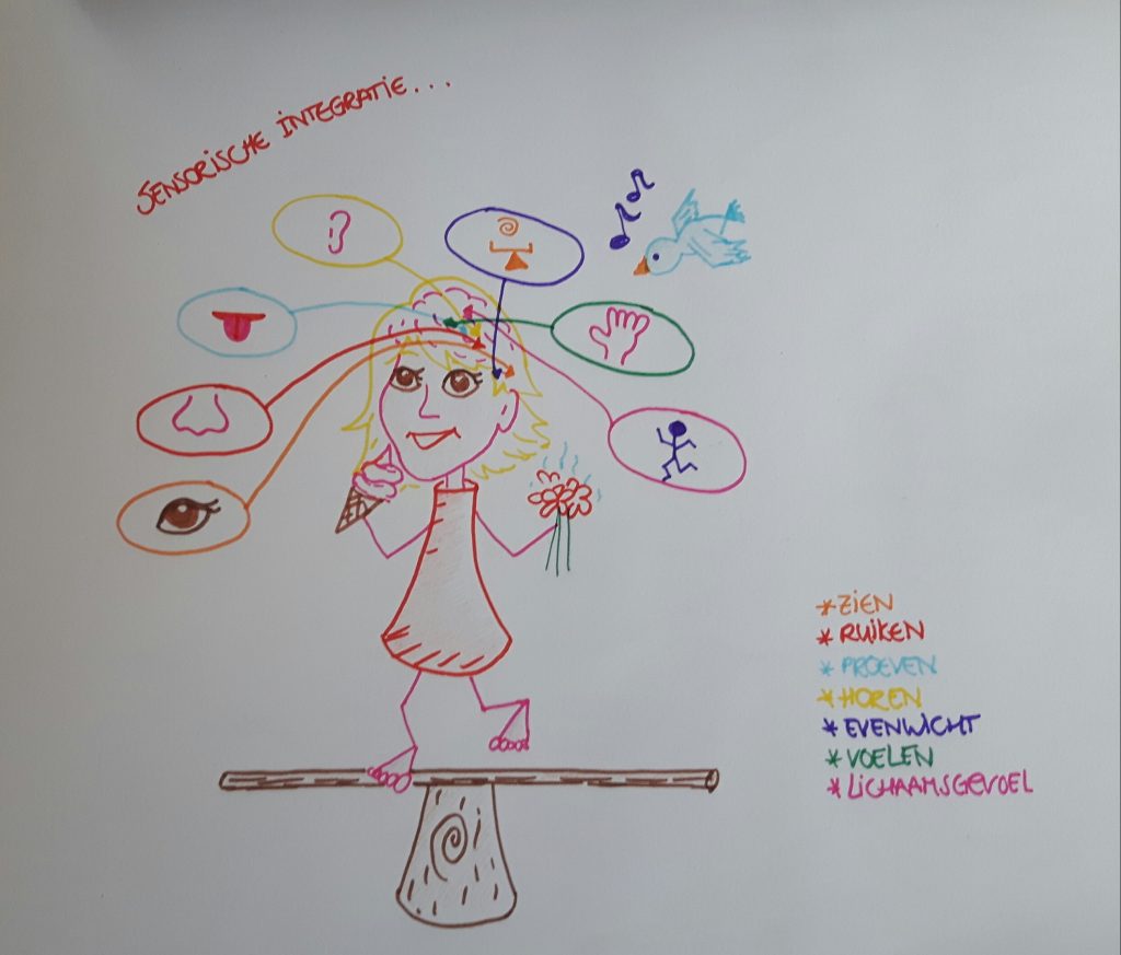Sensorische integratie (volwassenen) - Koopman Ergotherapie